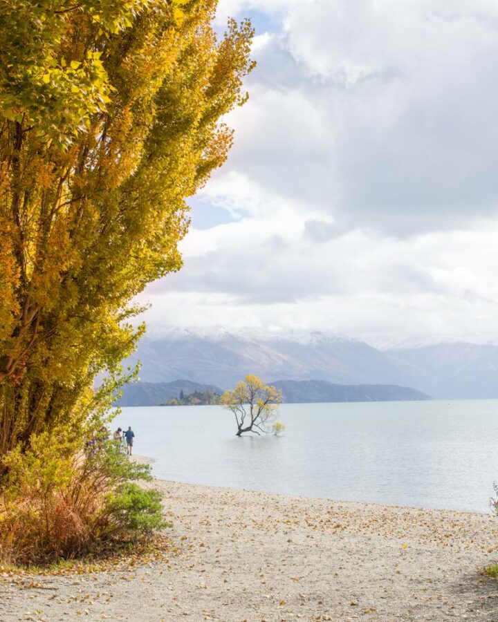 What to See in Wanaka in One Day | Erik's Fish and Chips